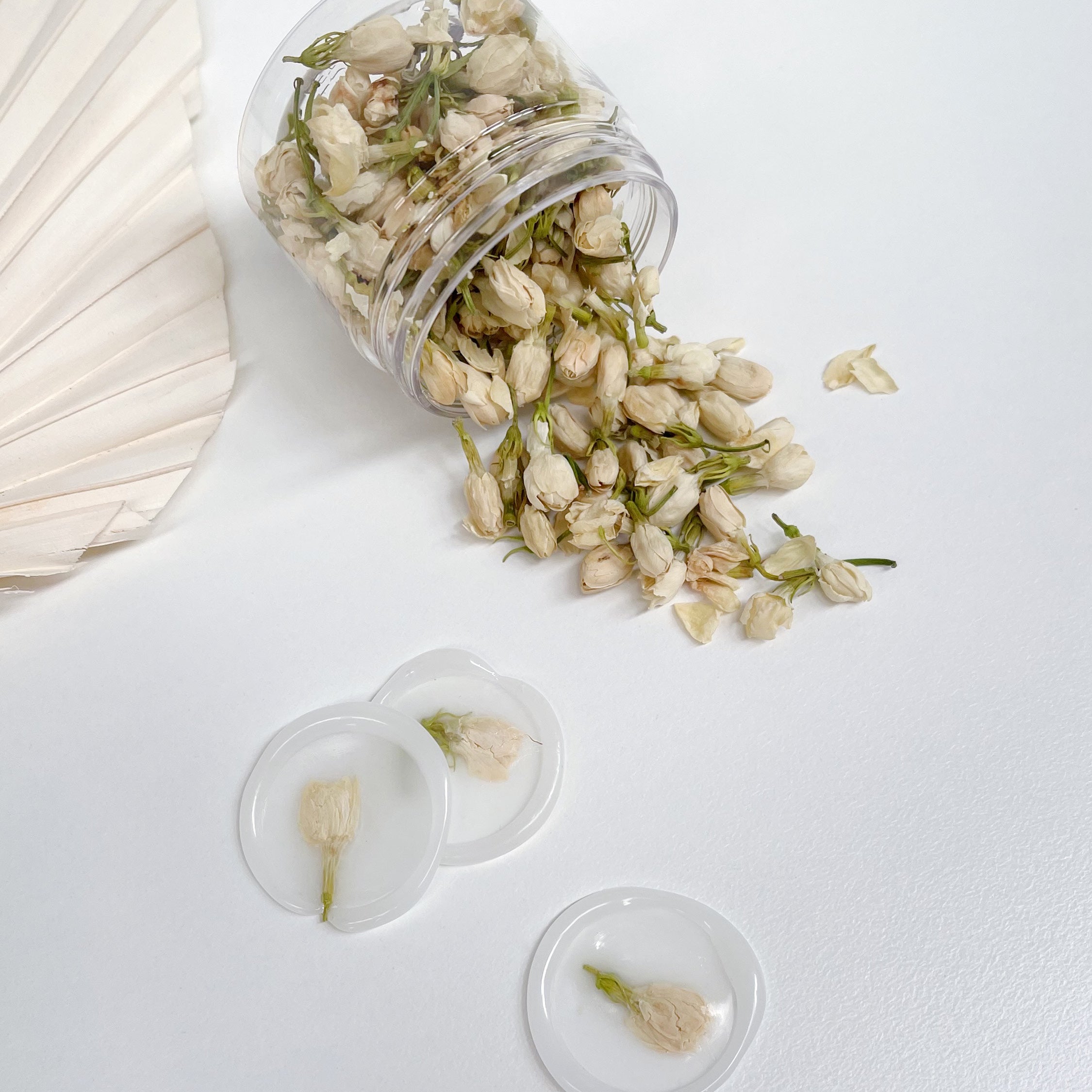 Dried Petal Jar - Jasmine Bud – Sea and Paper Creative Studio